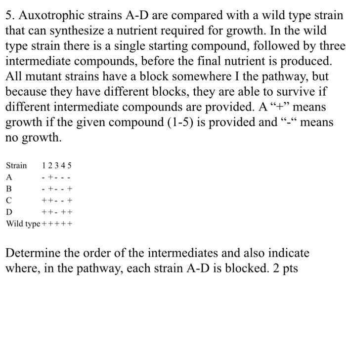 Solved Auxotrophic strains A-D are compared with a wild type | Chegg.com