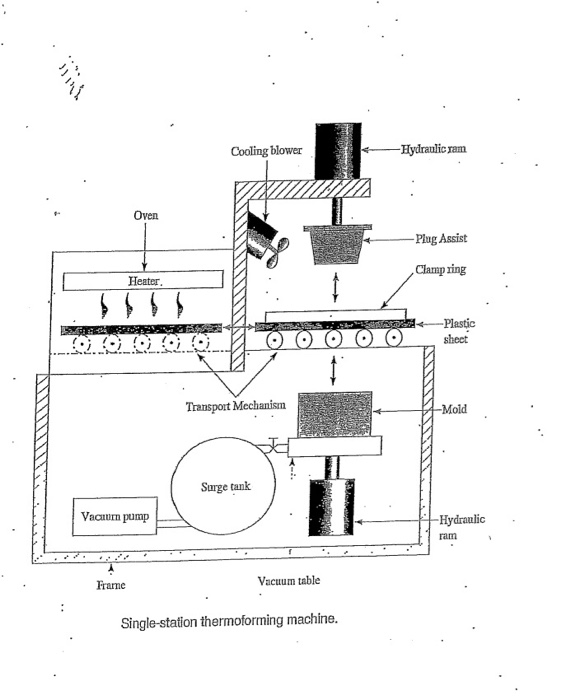Solved Thermoforming A process of pulling down a heated | Chegg.com