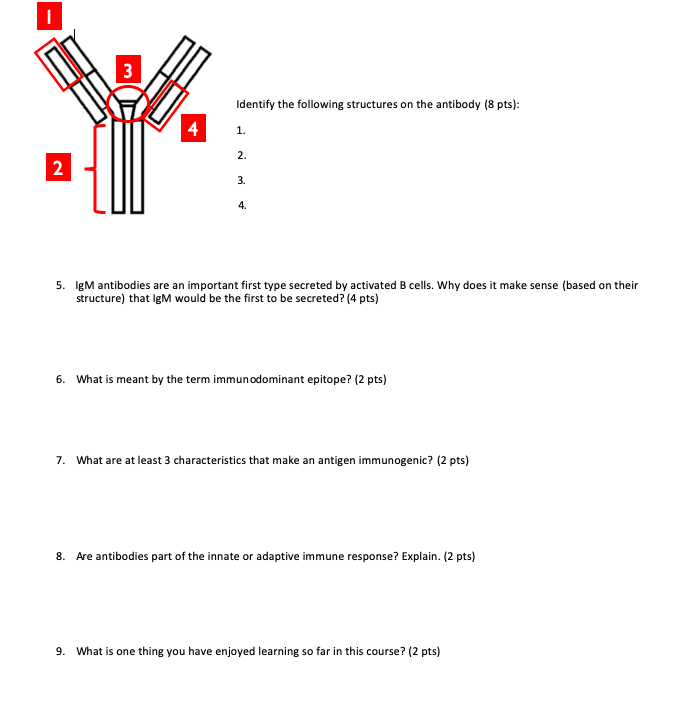 Solved Identify the following structures on the antibody ( 8 | Chegg.com