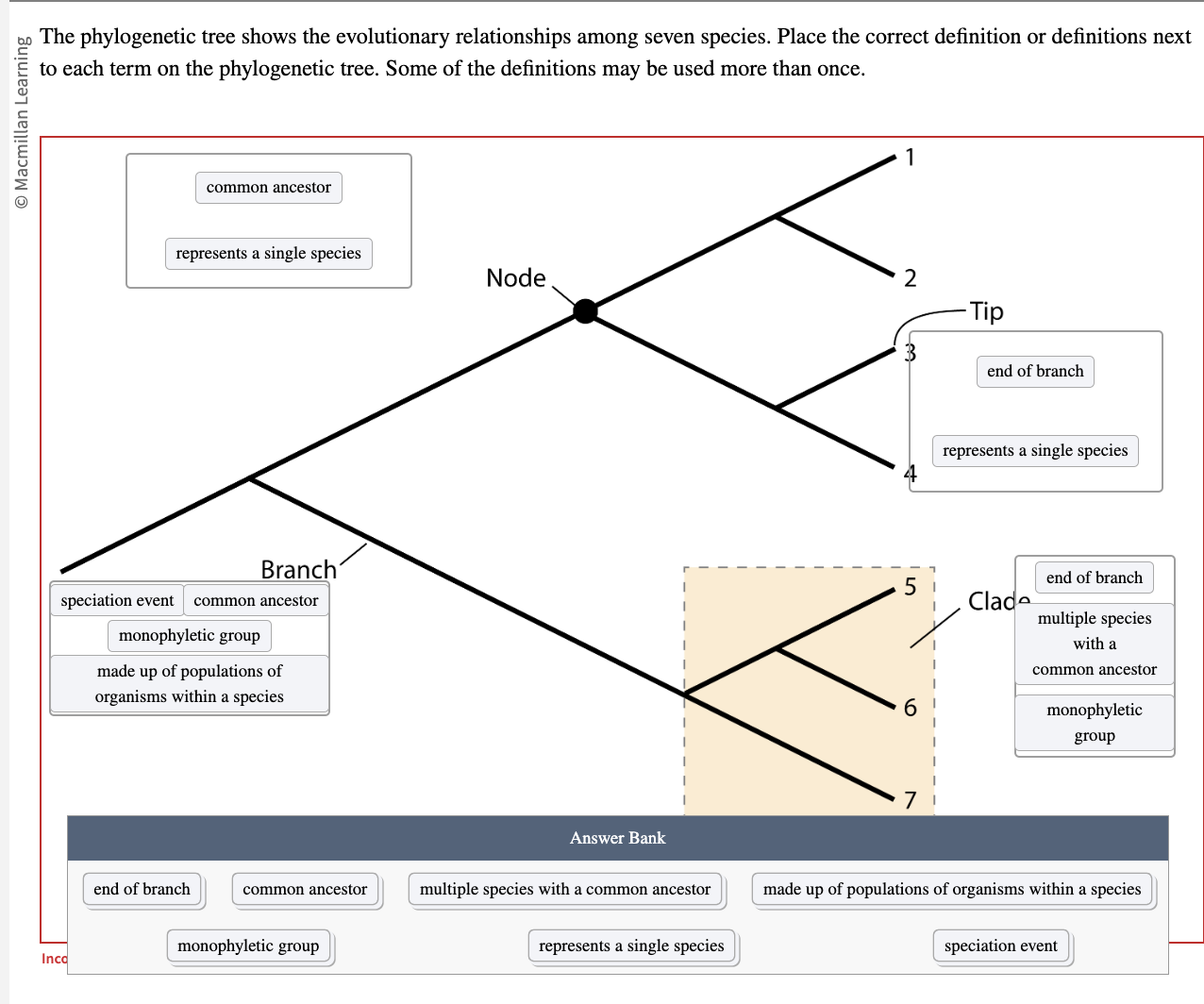 Solved of The phylogenetic tree shows the evolutionary | Chegg.com