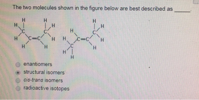 Solved The two molecules shown in the figure below are best | Chegg.com