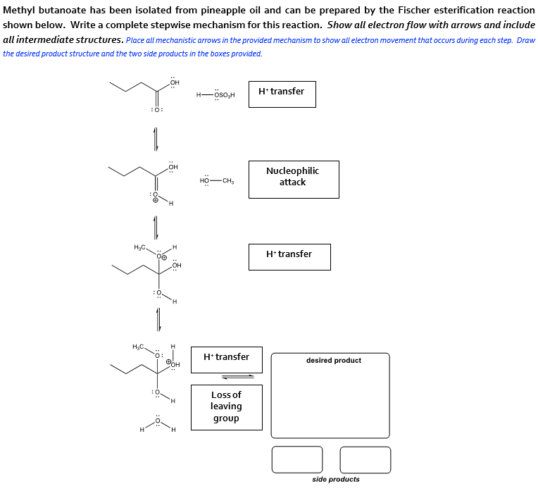 Solved Methyl butanoate has been isolated from pineapple oil | Chegg.com