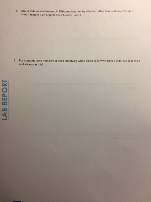 Solved EXERCISE 13: LAB REPORT Biotechnology and DNA | Chegg.com