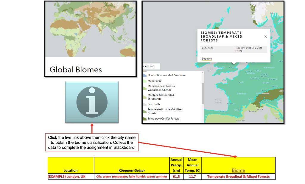 Solved Lab Assignment Seven; Part Two Climate & Biomes | Chegg.com
