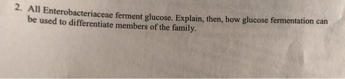 Solved 2. All Enterobacteriaceae ferment glucose. Explain, | Chegg.com