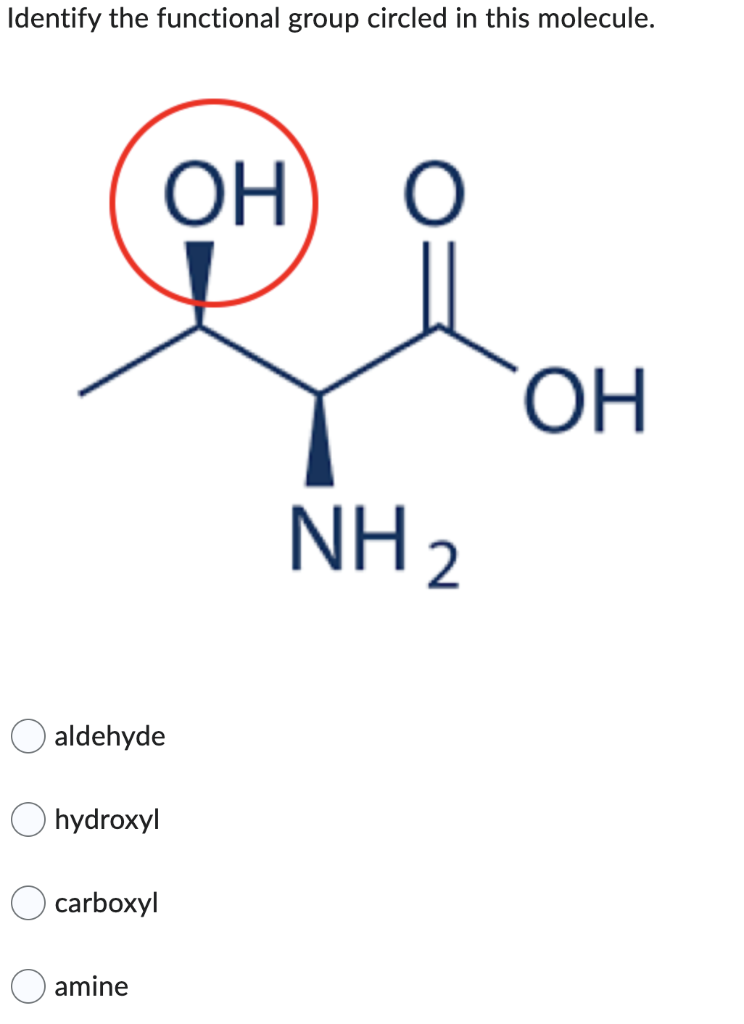 Solved Identify the functional group circled in this | Chegg.com