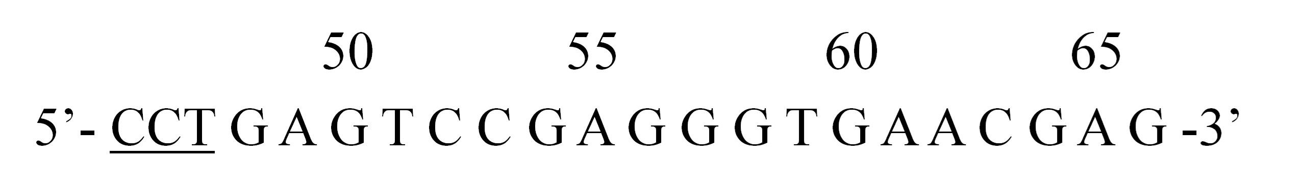 Solved A. Consider the following DNA sequence (coding | Chegg.com