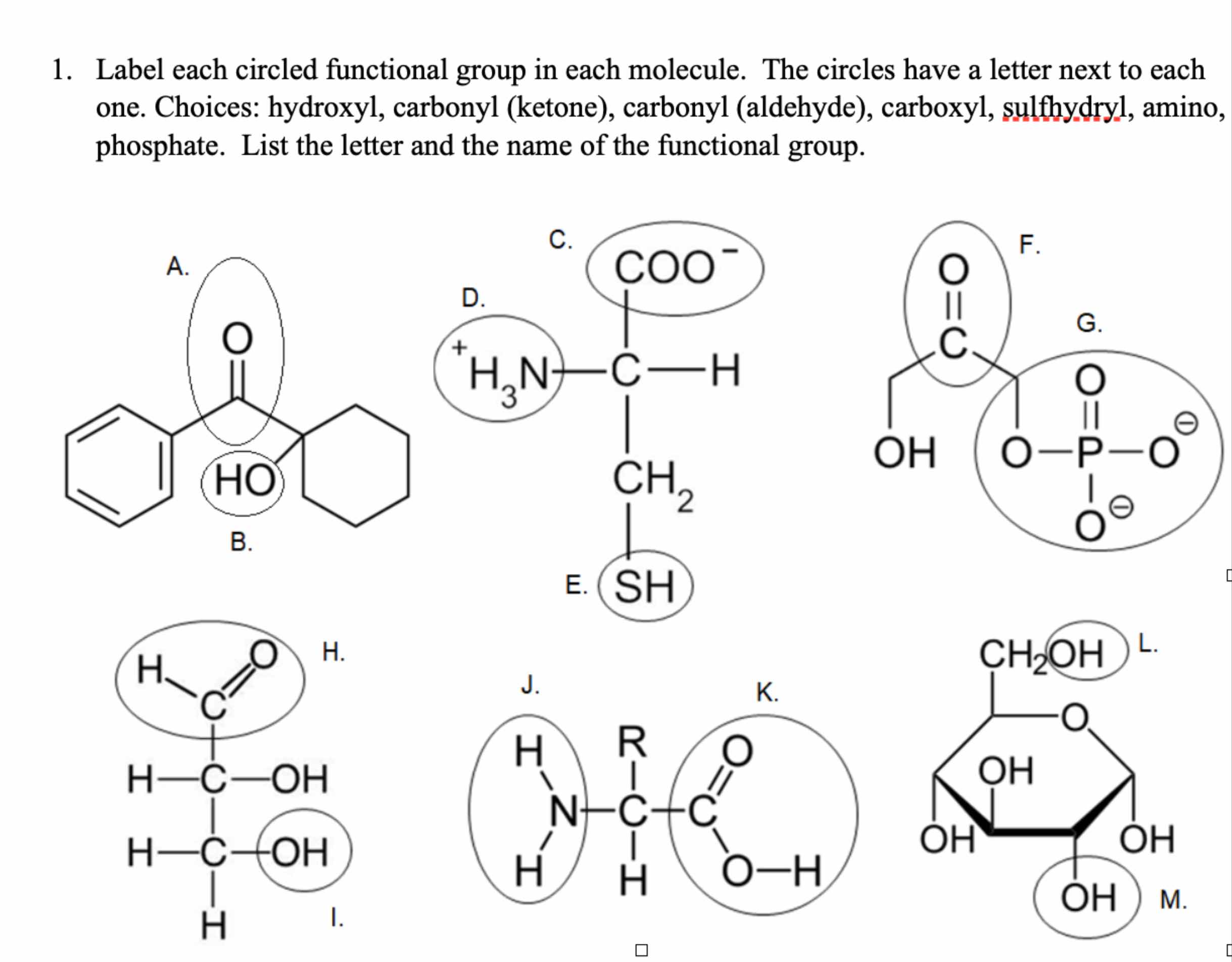 Solved Label each circled functional group in each molecule. | Chegg.com Solved Label each circled functional group in each molecule. | Chegg.com