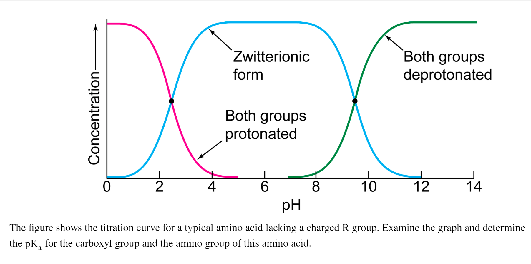 Solved Zwitterionic form Both groups deprotonated | Chegg.com