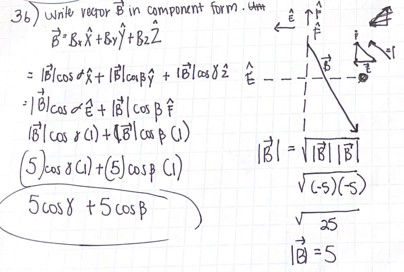 begin{array}{l}\\sqrt{(-5)(-5)} \\\\ \\sqrt{25} | Chegg.com