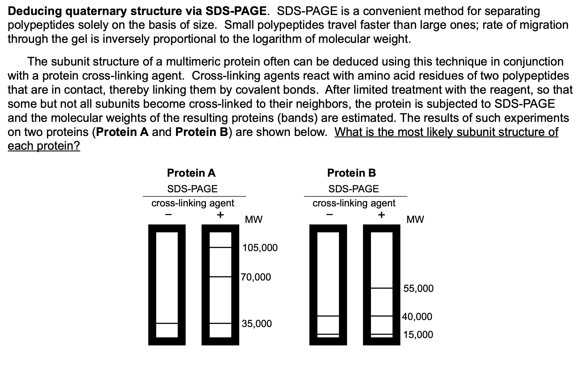 Deducing quaternary structure via SDS-PAGE. SDS-PAGE | Chegg.com