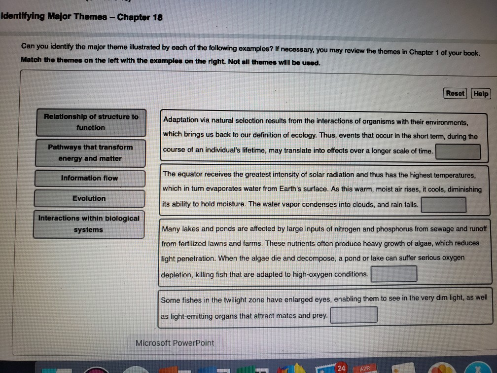 Solved Identifying Major Themes Chapter 18 Can You Identify Chegg