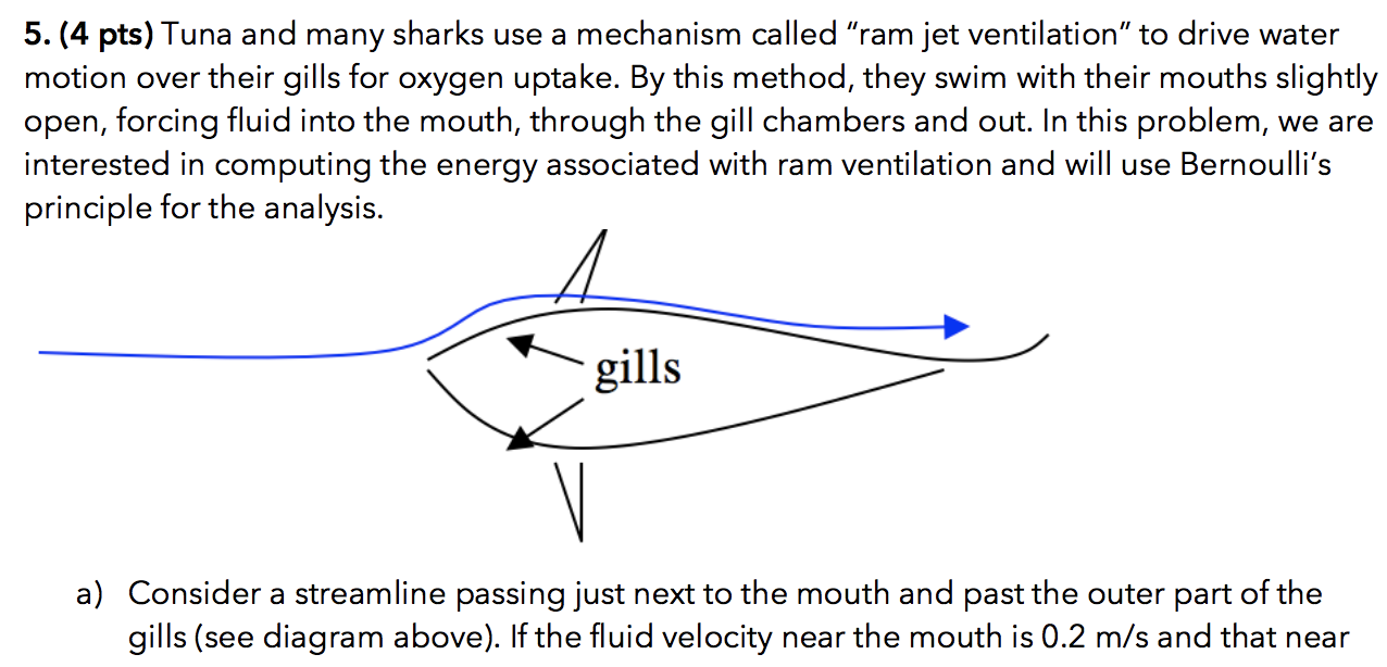 Solved 5.(4 pts) Tuna and many sharks use a mechanism called | Chegg.com