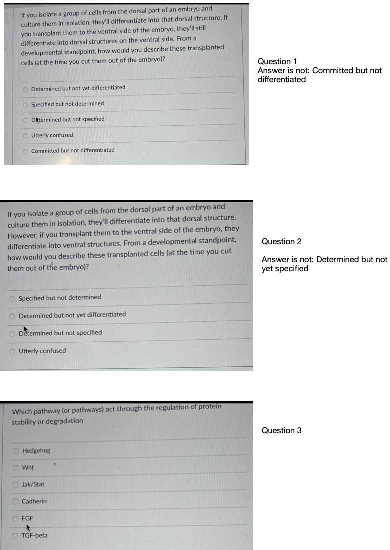Solved If you isolate a group of cells from the dorsal part | Chegg.com
