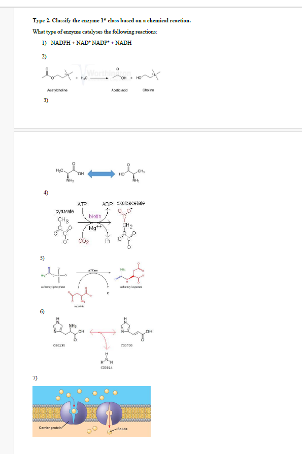 Solved Type 2. ﻿Classify the enzyme 1th ﻿class based on a | Chegg.com