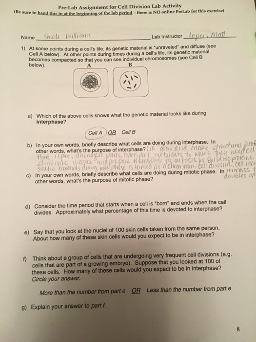 Solved Pre-Lab Assignment for Cell Division Lab Activity (Be | Chegg.com