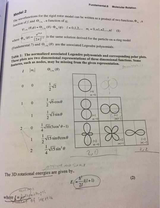 Solved Fundamental 8 Molecular Rotation Is there spinning | Chegg.com