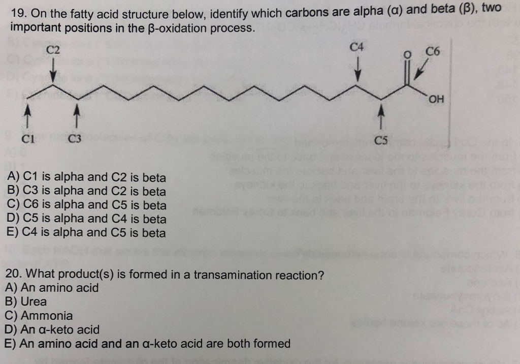 Solved 19. On the fatty acid structure below, identify which | Chegg.com