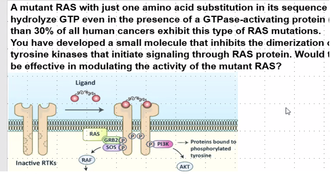 Solved A mutant RAS with just one amino acid substitution in | Chegg.com