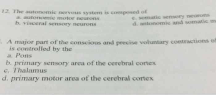 Solved 12. The autonomic nervous system is composed of a. | Chegg.com