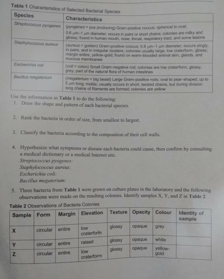 Solved Table 1 Characteristics of Selected Bacterial Species | Chegg.com