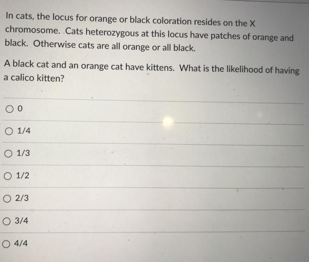 Solved In cats, the locus for orange or black coloration | Chegg.com
