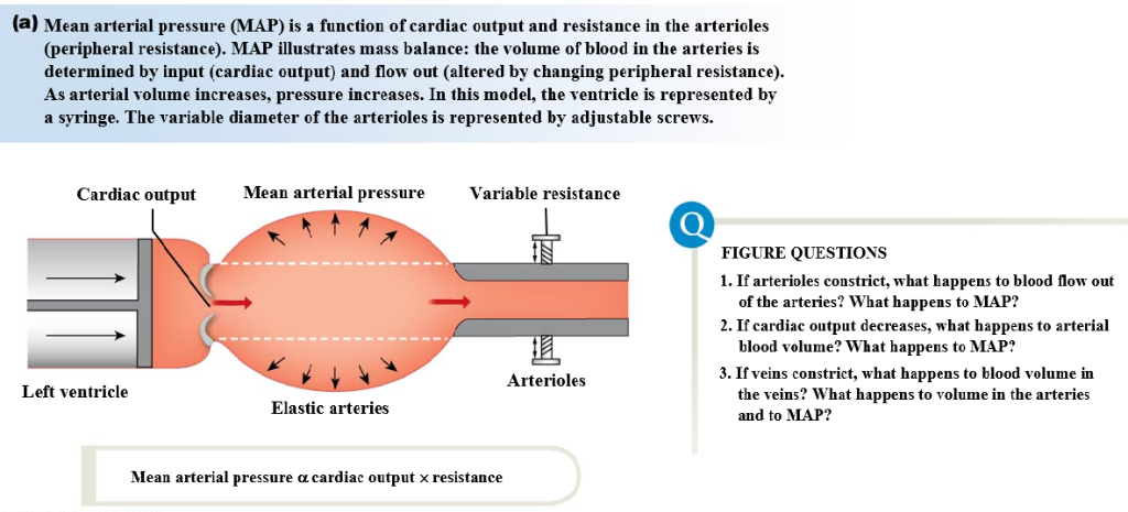 26 Map Mean Arterial Pressure Online Map Around The World
