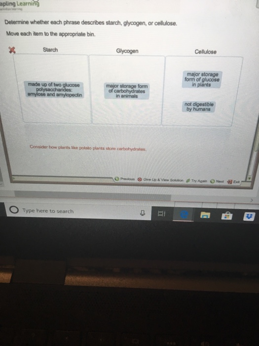 Solved Determine whether each phrase describes starch, | Chegg.com