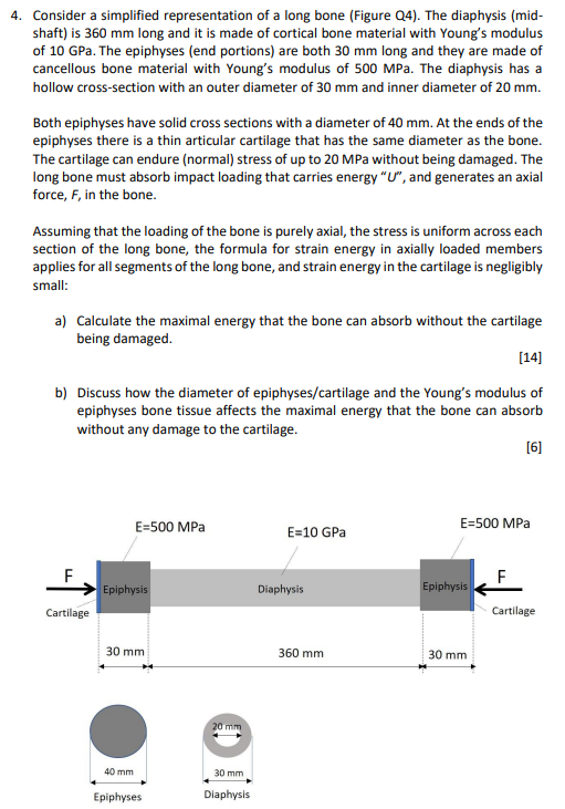 Solved 4. Consider a simplified representation of a long | Chegg.com