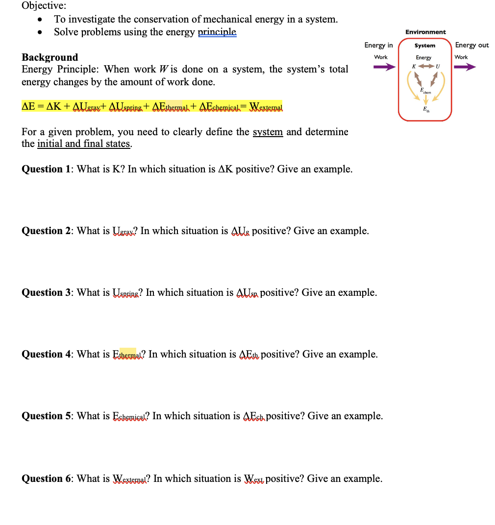 Solved Objective: - To investigate the conservation of | Chegg.com