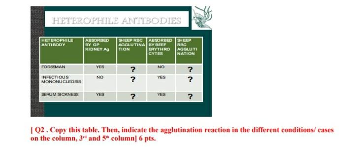 Solved HETEROPHILE ANTIBODIES HETEROPHILE ANTIBODY ABSORBED | Chegg.com