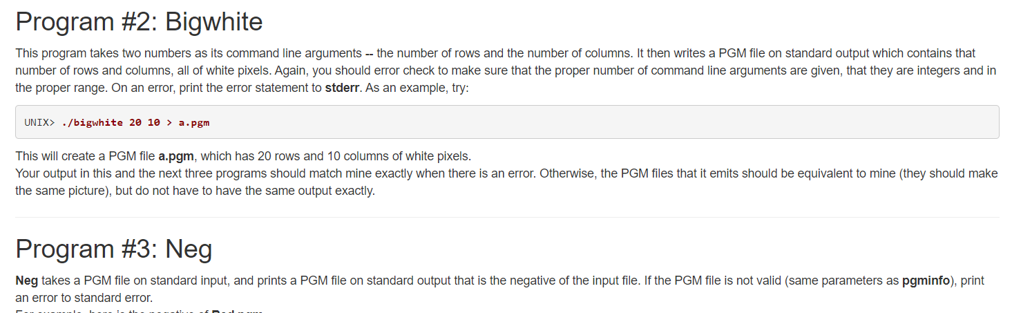 Program 1 Pgminfo Your First Pgm Program Should 