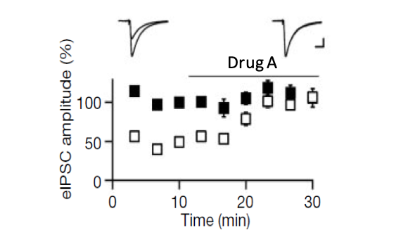 Solved CB1 is a GPCR activated endogenously by | Chegg.com