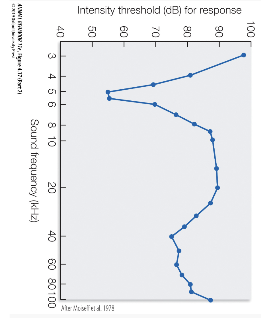 Solved The “intensity threshold” on the graph refers to | Chegg.com