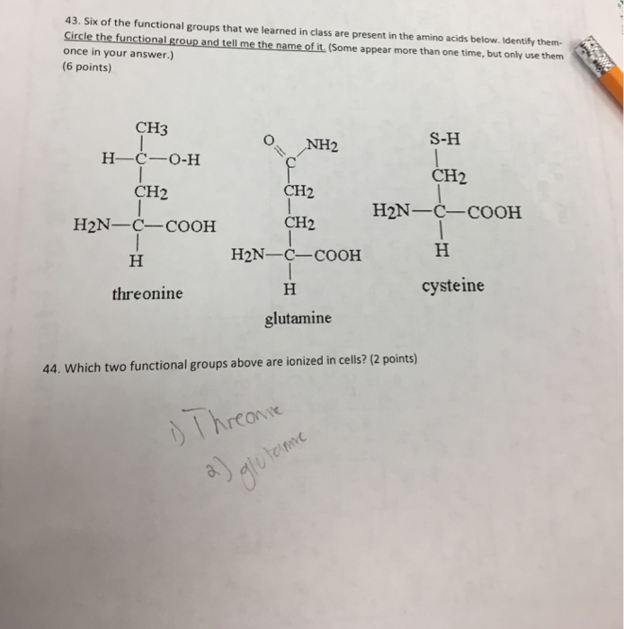 Solved 43. Six of the functional groups that we learned in | Chegg.com