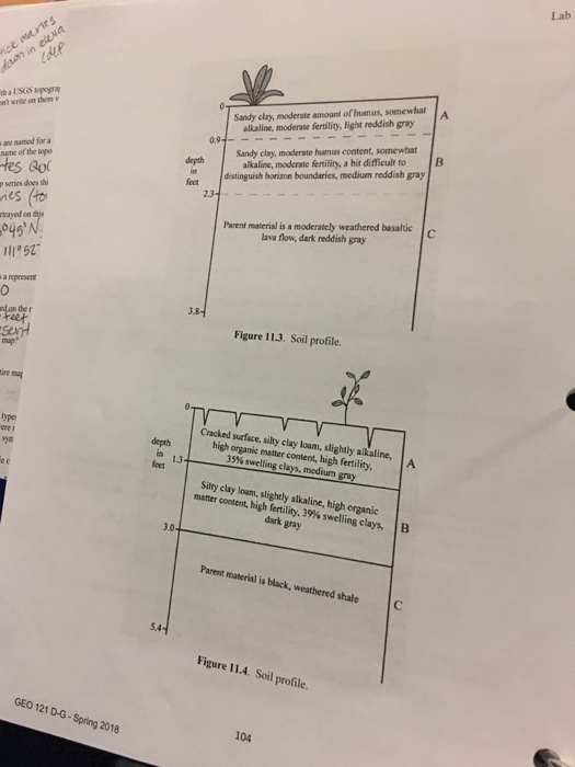 Solved Lab 12 LAB 12-Soils and Vegetation (You'll need your | Chegg.com