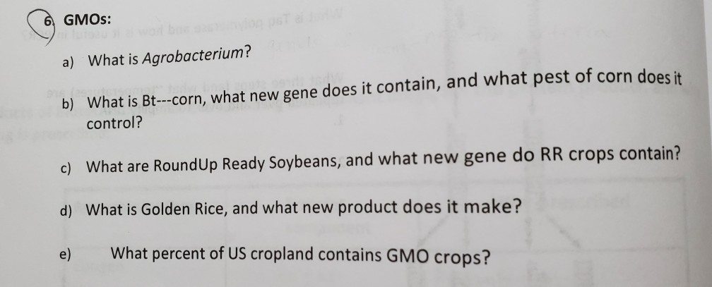 Solved GMOs: a) What is Agrobacterium? b) What is Bt---corn, | Chegg.com