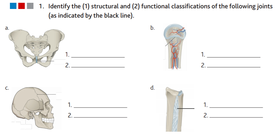 Solved 1. Identify the (1) structural and (2) functional | Chegg.com