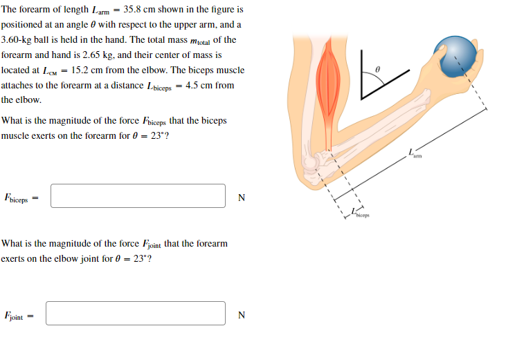 Solved The forearm of length Larm=35.8 cm shown in the | Chegg.com