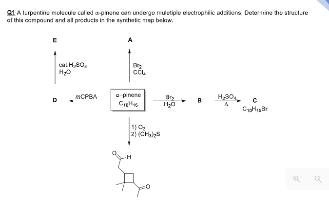 Solved Q1 A turpentine molecule called α-pinene can undergo | Chegg.com