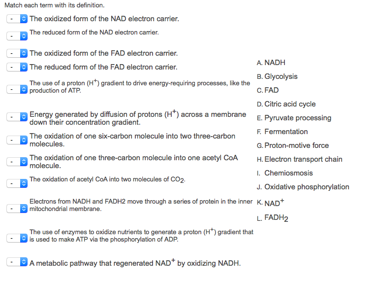 Solved Match the following terms with their definitions. A A | Chegg.com
