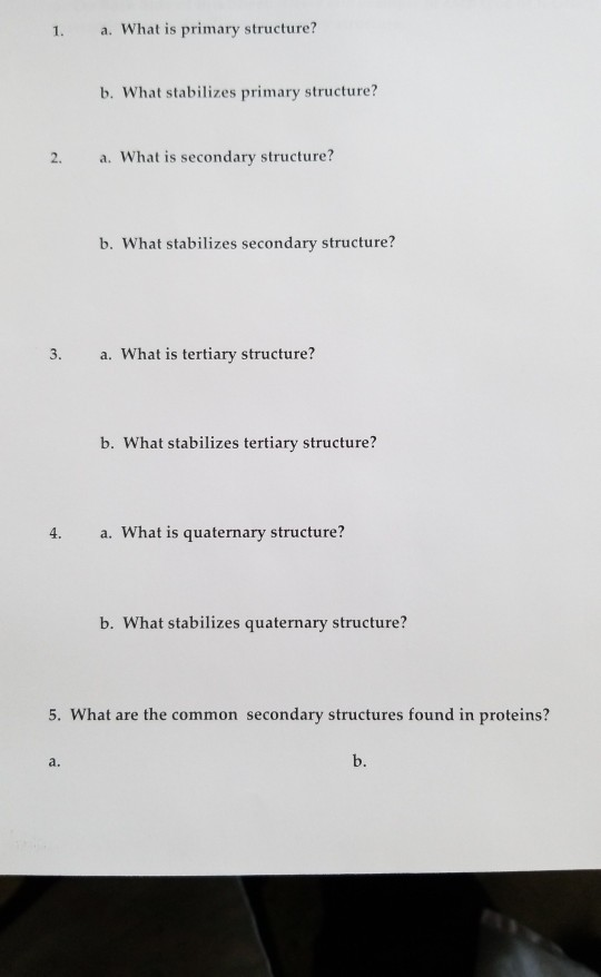 Solved a. What is primary structure? 1. b. What stabilizes | Chegg.com