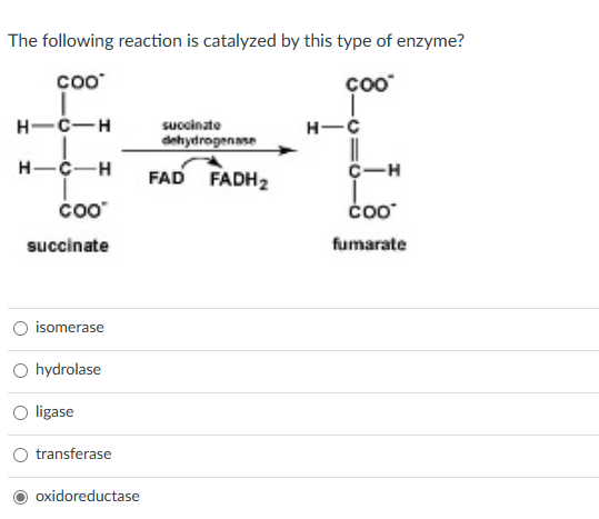 Solved The following reaction is catalyzed by this type of | Chegg.com