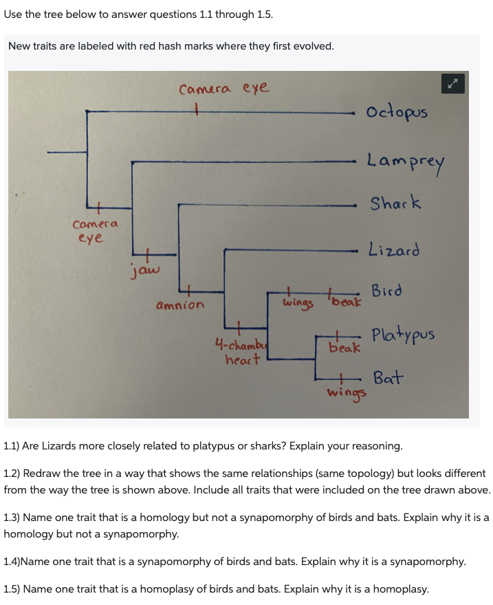 New traits are labeled with red hash marks where they | Chegg.com