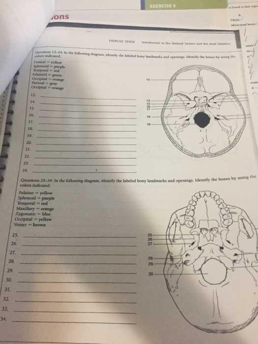 Anatomy And Physiology Archive | February 25, 2018 | Chegg.com