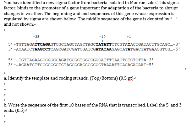 Solved You have identified a new sigma factor from bacteria | Chegg.com