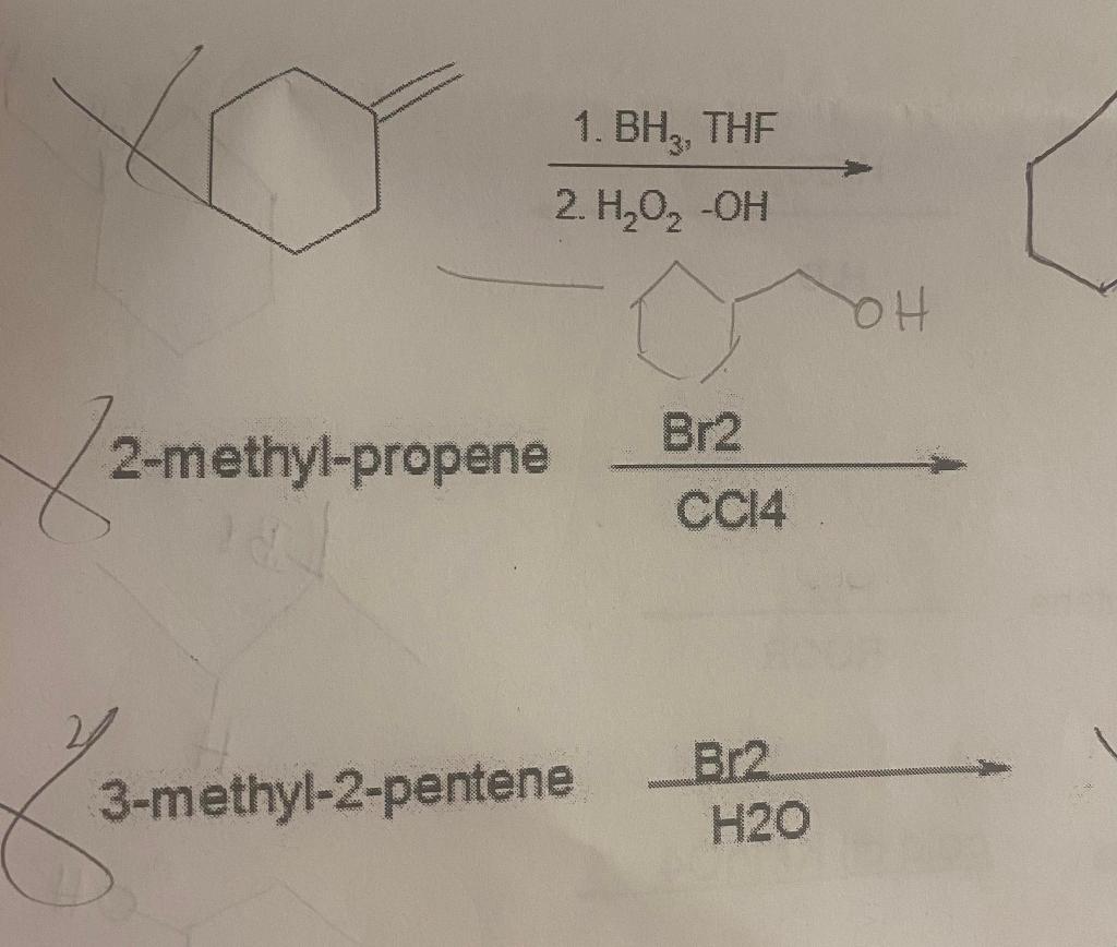 Solved KOH/EtOH 2-methyl-propene CCl4Br2 3-methyl-2-pentene | Chegg.com