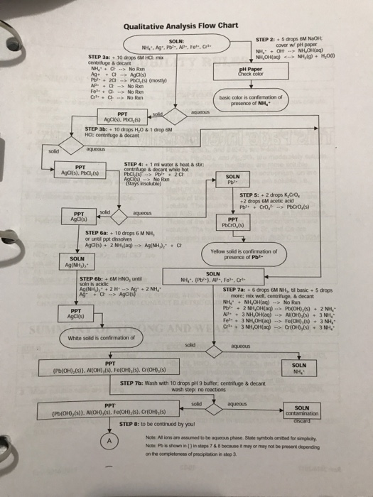 Solved Qualitative Analysis Flow Chart SOLN: STEP 2:5 drops | Chegg.com