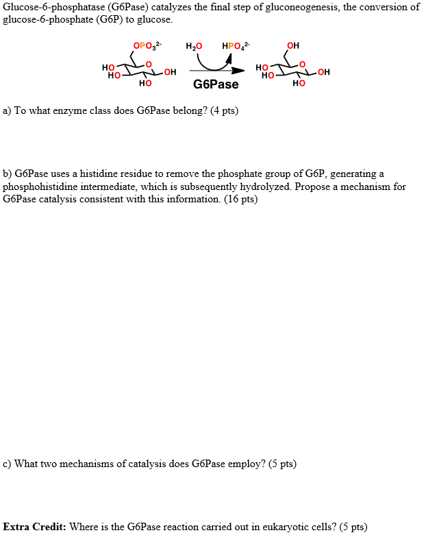 Solved Biochemistry I Glucose-6-phosphatase (G6Pase) | Chegg.com