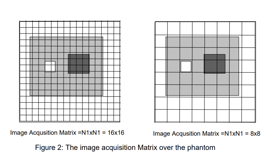 Background: Computationally, a virtual phantom is a | Chegg.com